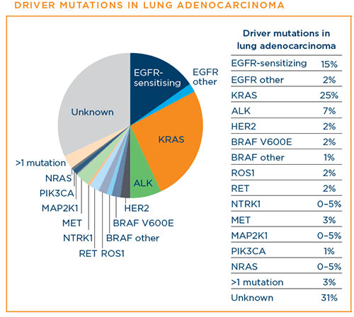 Targeted Therapy | LUNGevity Foundation Targeted Therapy | LUNGevity Foundation